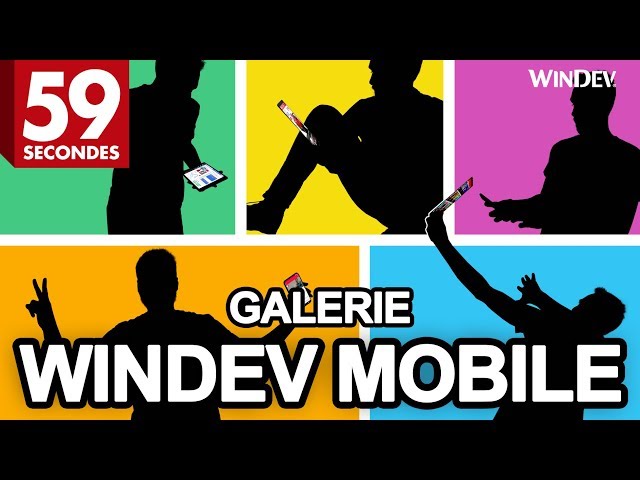 WinDev Mobile Pricing, Reviews, & Features in 2022