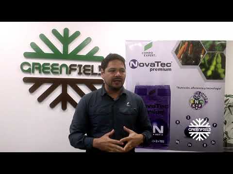 GREENFIELD - NOVATEC