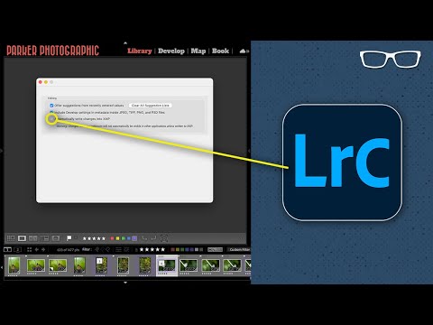 Should THIS Lightroom Classic 2024 button be turned on?