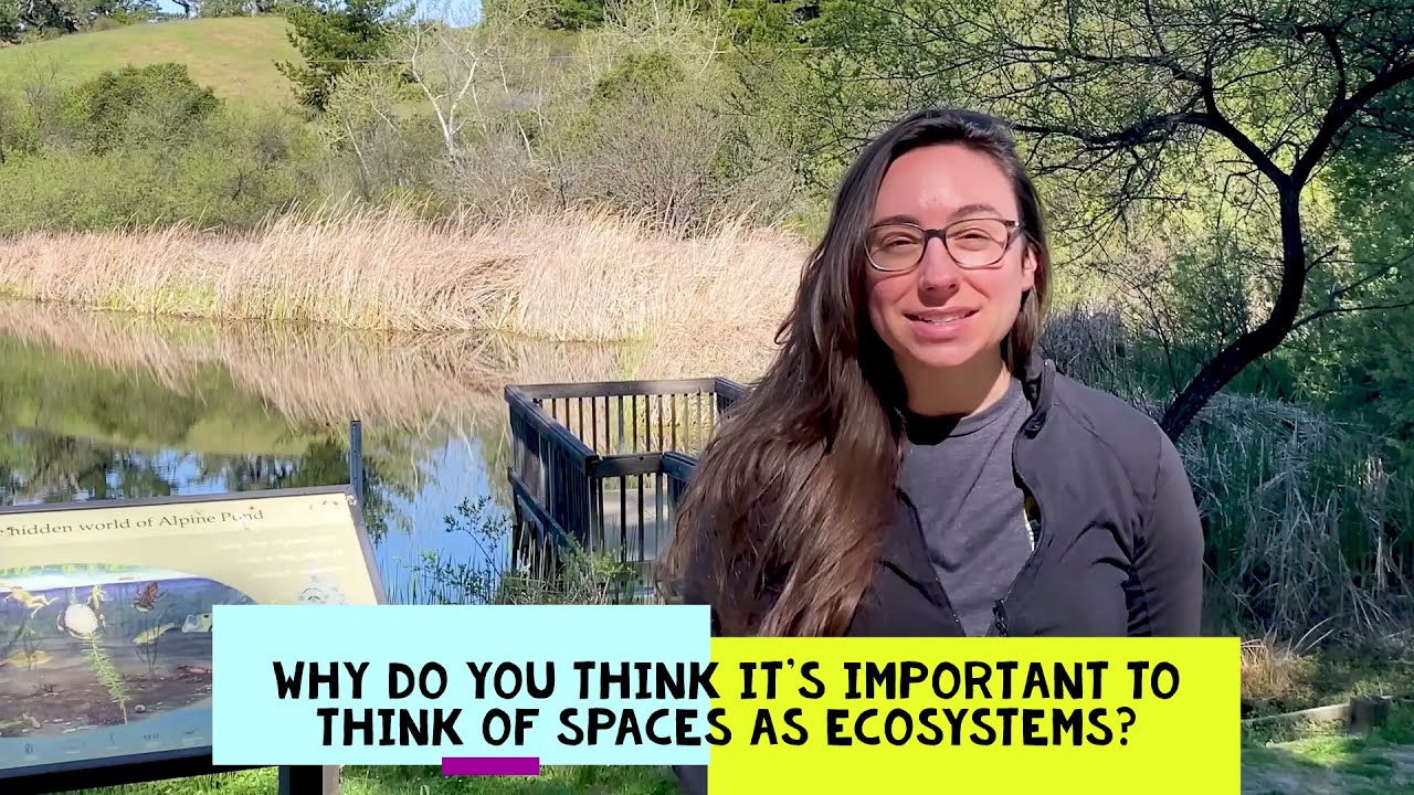 Midpen Virtual Field Trip: Ecosystem Explorers