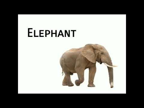 NUR ENG Words A - E Part 1 SG