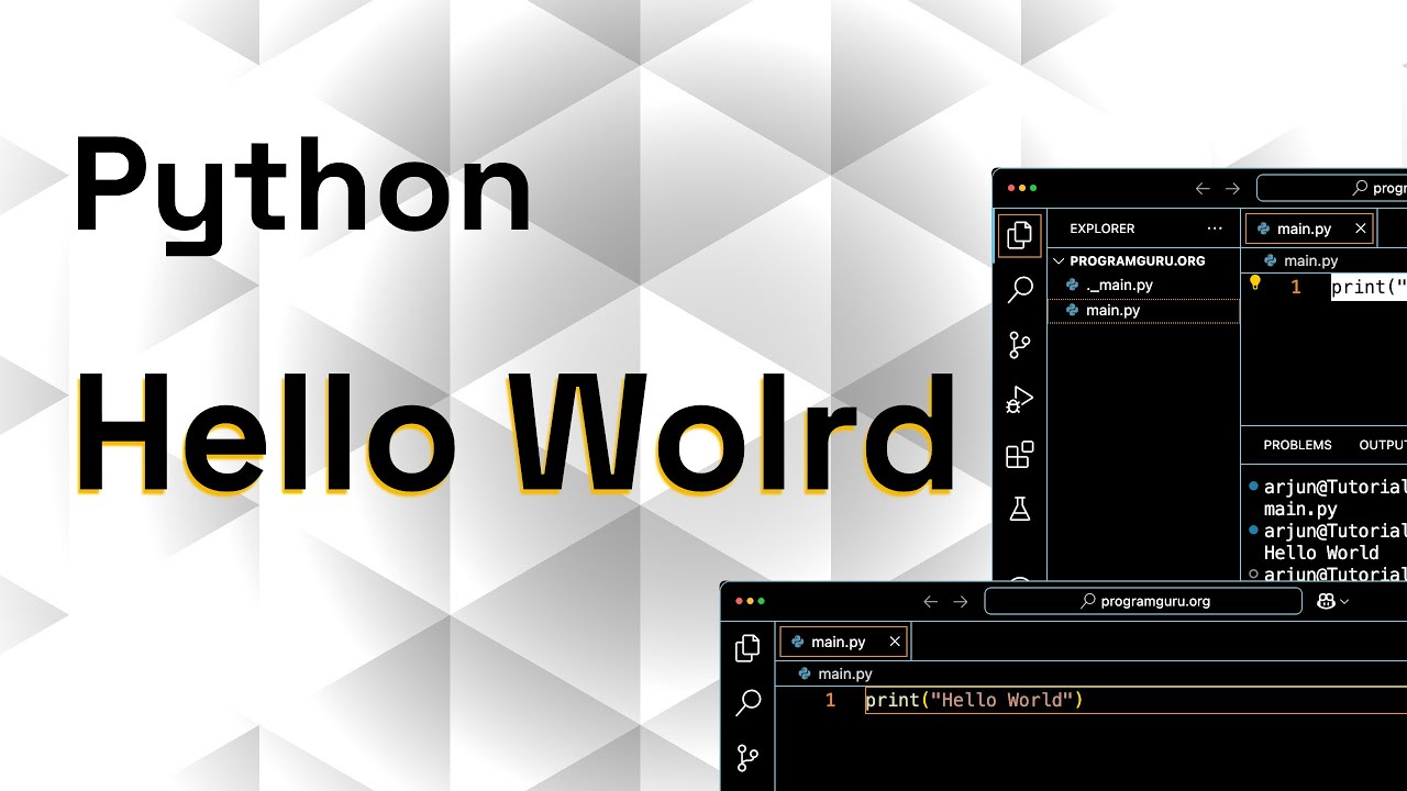 Python Hello World | Write and Run Your First Python Program | ProgramGuru.org