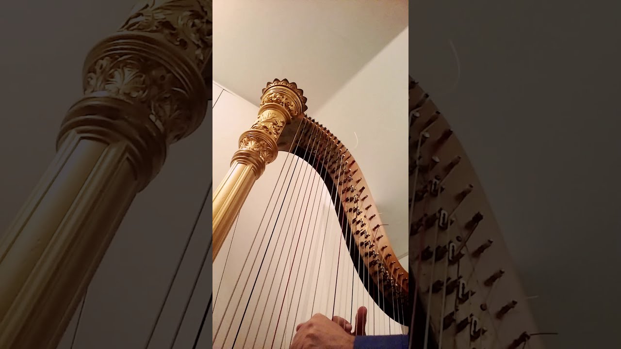 Hire Robert Turner: Harpist for Weddings, Holidays, Ceremonies ...