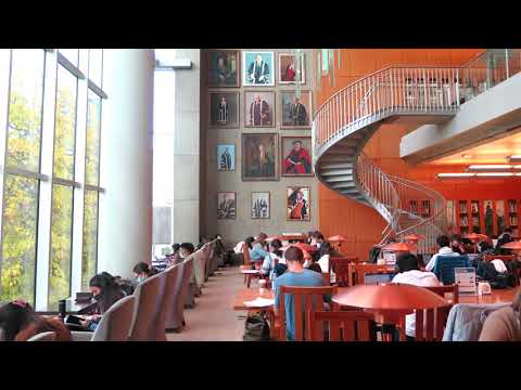 Sounds of UBC: The Ridington Room | Library Study Session ASMR Ambience