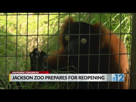 Jackson Zoo scheduled to reopen with limited restrictions