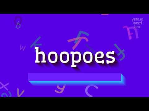 HOOPOES - HOW TO SAY HOOPOES?