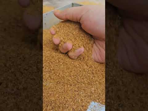 Pig Feed at Best Price in India