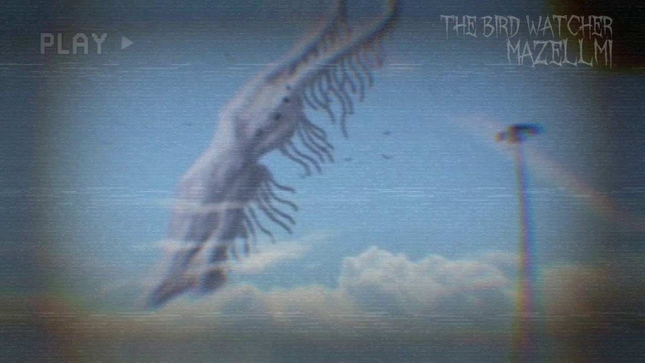 The bird watcher sounds