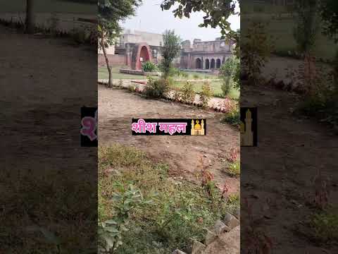 Farukh Nagar Fort 🕌 #shorts #fort #d2deepdo