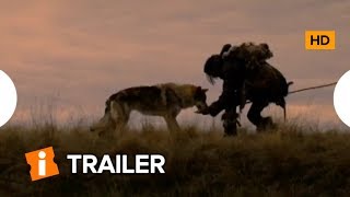 Alfa filme - Veja onde assistir online