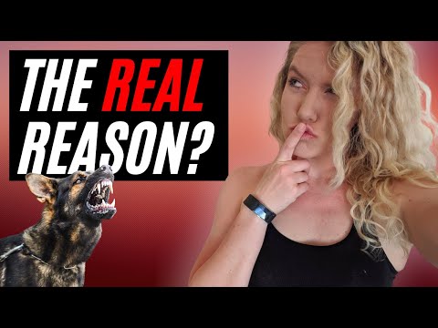 “Why Is My Dog Aggressive?” Understanding Dog Aggression (Science Explained)