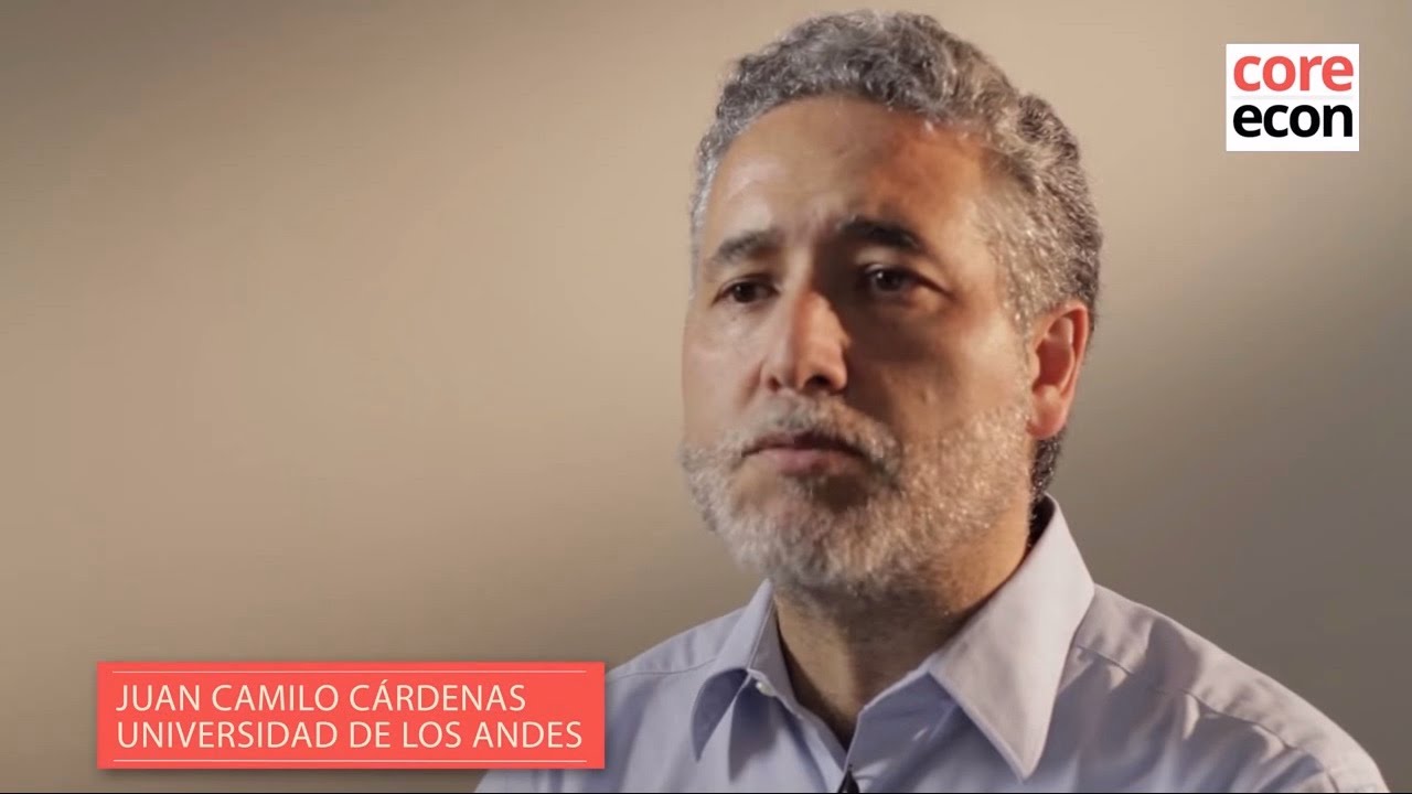 Juan Camilo Cárdenas: Cooperative behaviour in experiments