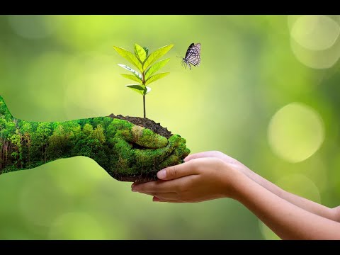 World Earth Day 2025 was Celebrated under the theme โOur Power, Our Planetโ @SHCS Urban Estate LDH