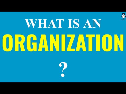 What is an Organization | Structure and Characteristics of Organization