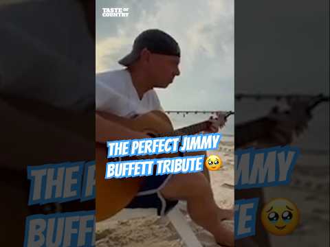 A Jimmy Buffett Tribute You'll Never Forget #jimmybuffett