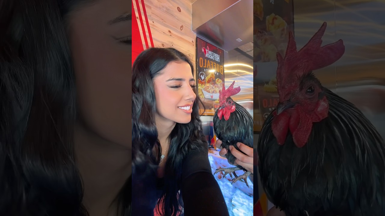 A chicken turned into a meal. #food #eating #shorts #mukbang
