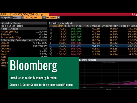 Introduction to the Bloomberg Terminal