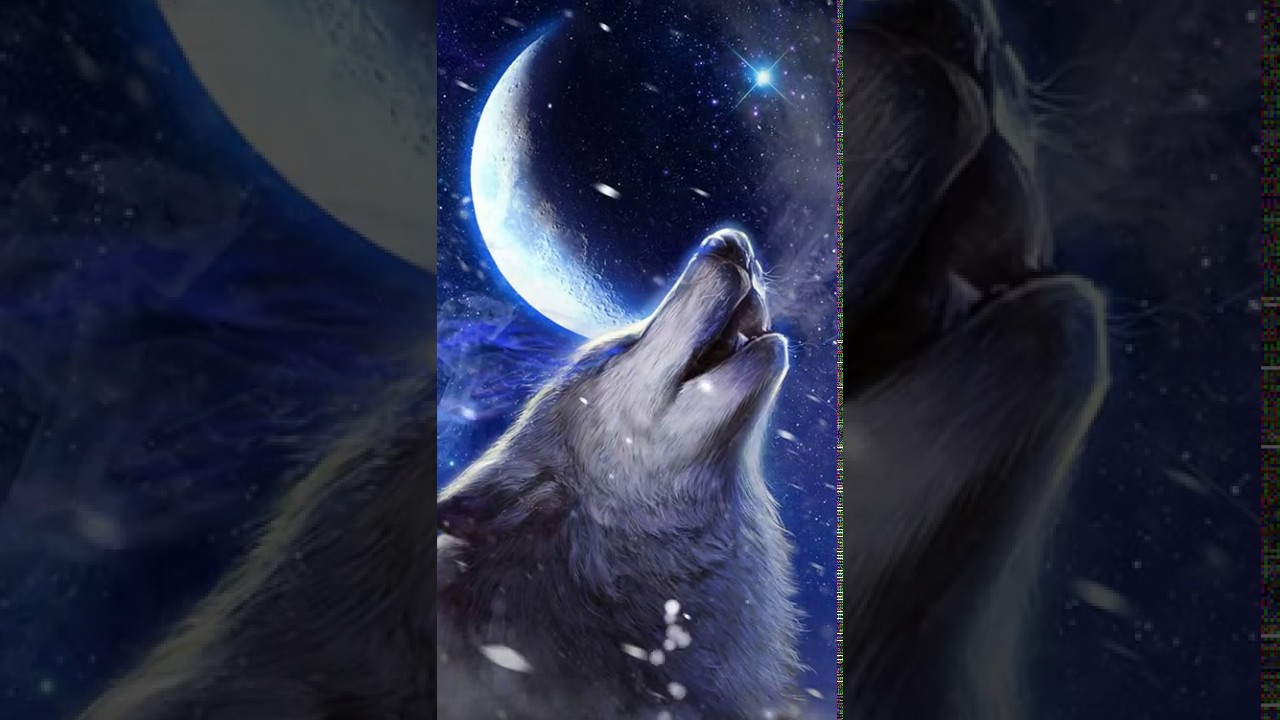 Howling Wolf Live Wallpaper