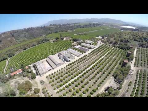 2275 Aliso Canyon Rd. Santa Paula CA - Paul Ward - On Location