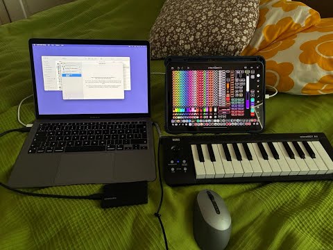 Macbook with Logic Pro & iPad with Loopy Pro — Loopy Pro Forum