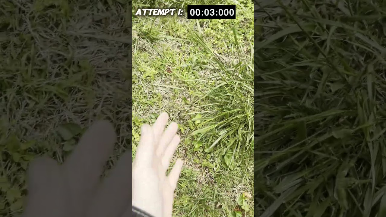 world record vtuber touches grass speedrun 💀
