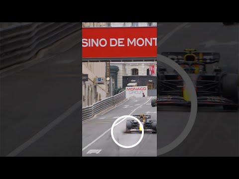 Pigeon Spooks Race Leader 😱 #Shorts