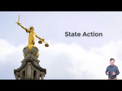 Constitutional Law: State Action: Introduction