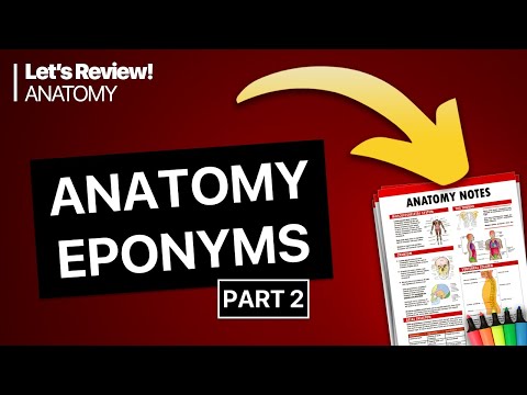 Anatomy Eponyms Part 2 | Let's Review