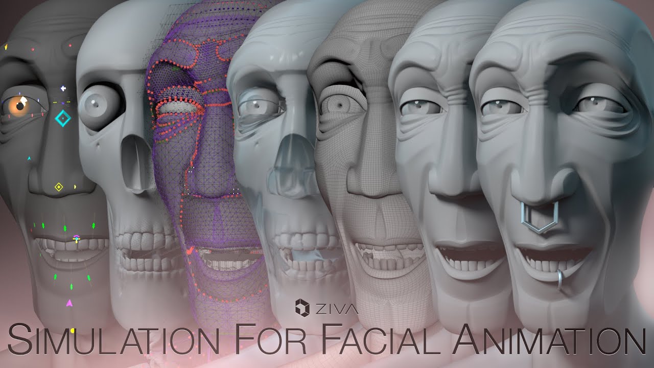 Simulation For Facial Animation