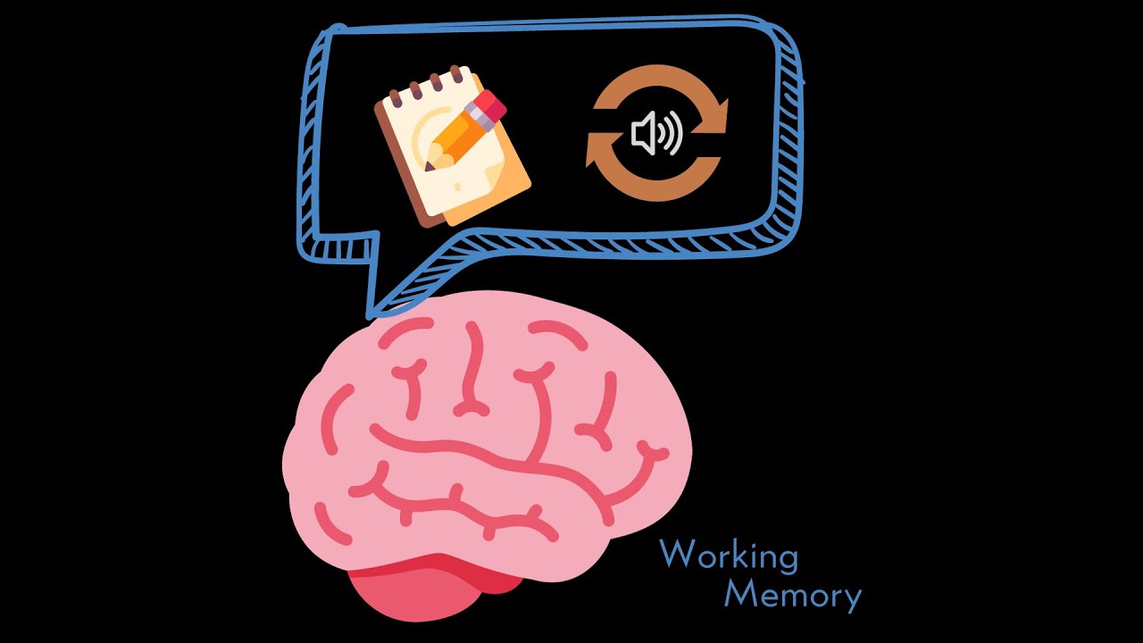Executive Functions - Working Memory: Your Mental Note-Pad