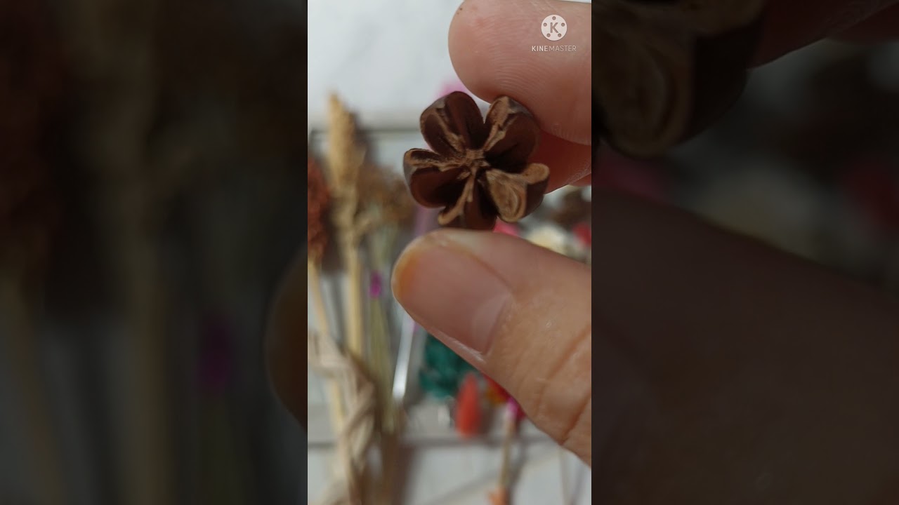 #shorts bunga Kering/Rustic