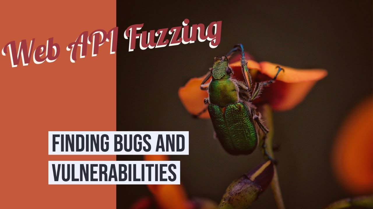 Catching Bugs through Web API Fuzzing - OpenAPI