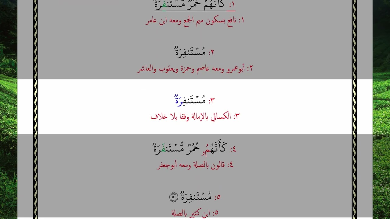 سورة المدثر الآية آية رقم 50 surah AlModather ayah بالقراءات العشر الصغرى