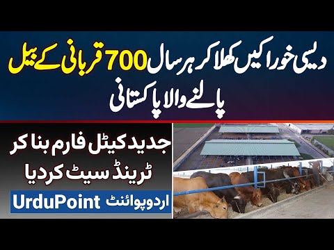Desi Food Khila Kar Har Saal Apne Modern Kettle Farm Mein 700 Qurbani Ke Janwar Palne Wala Pakistani