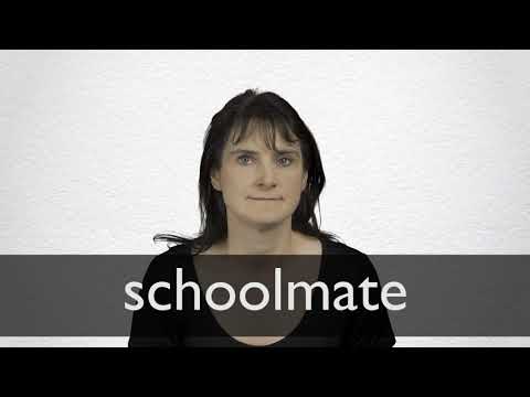 SCHOOLMATE definition and meaning | Collins English Dictionary