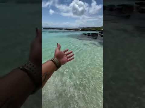 El Paraíso CALETA TANKAH 🌴😍 en Tulum | Playa y Cenote | adunadjtv