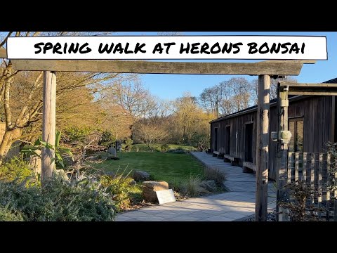 Spring Walk at Herons Bonsai