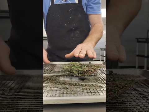 Never removing thyme leaves another way 🤯