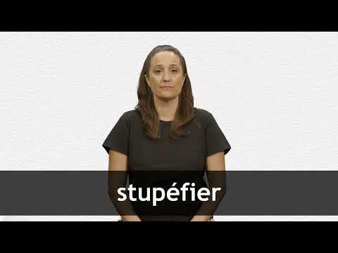 English Translation of “STUPÉFIER” | Collins French-English Dictionary