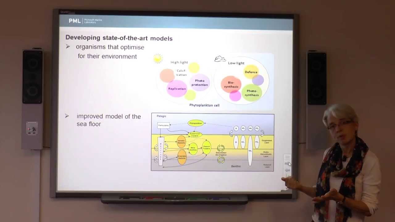 Introduction to Marine Ecosystem Modelling