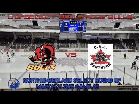 U13 Select: Belleville Bulls vs Kingston C.A.L. Panthers, March 21 2025