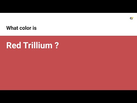 Red Trillium color #c44d4f hex color - Red color - Cool color c44d4f