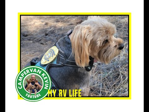 Baby MaeMae's Grooming Fiasco! Tucker Officially Becomes Head Of Woof Pack Security!