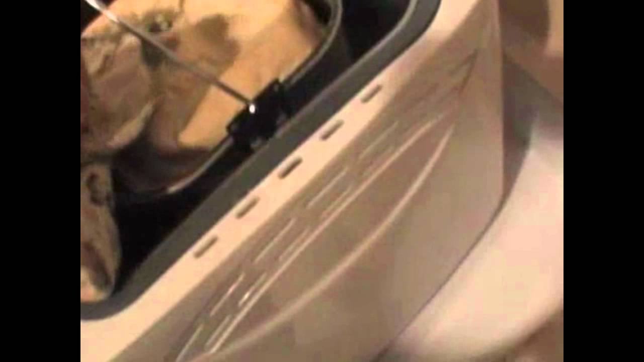 Sunbeam 5891 2-Pound Programmable Breadmaker Reviews