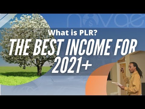 What is PLR? The Best Kind of Income for 2021+