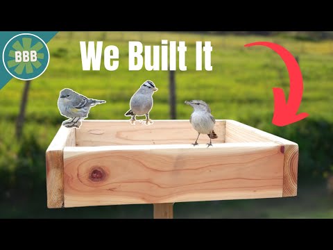 The Best Backyard Bird Feeder Nobody Uses | DIY Platform Feeder