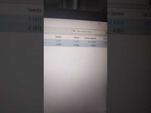 never seed torrents