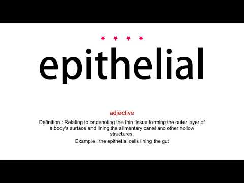 How to pronounce epithelial - Vocab Today