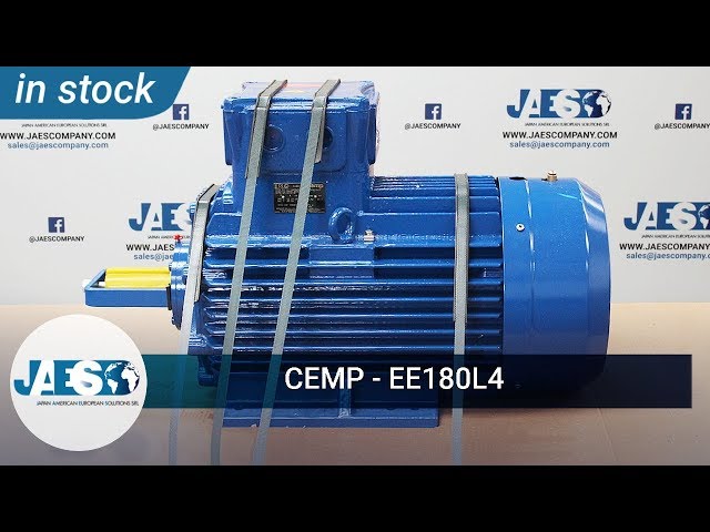 CEMP Motor - Siemens Three Phase Electric Motor Wholesale Trader from Thane