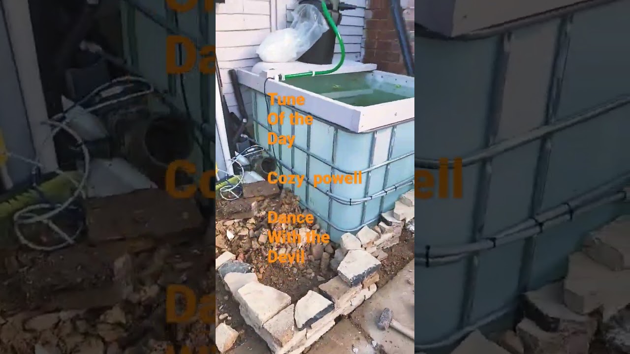 The IBC Tank Build Continues #koipond #koi #koifry #tosai #koilovers #dancewiththedevil #cozypowell